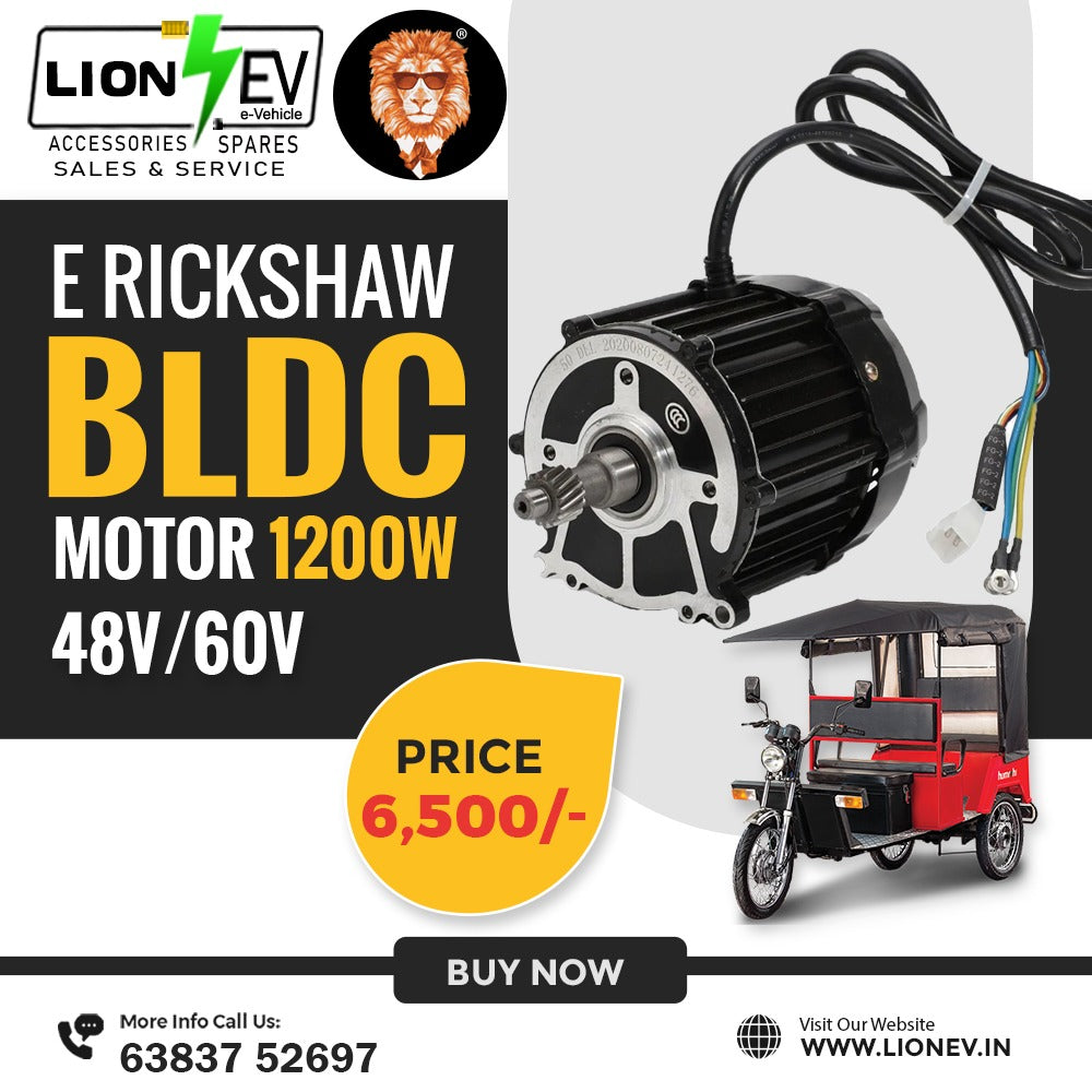 Unleash the Power of E-Rickshaws with 1200W 48V/60V BLDC Motors – lionev